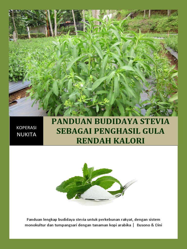 Buku Budidaya Stevia | PDF