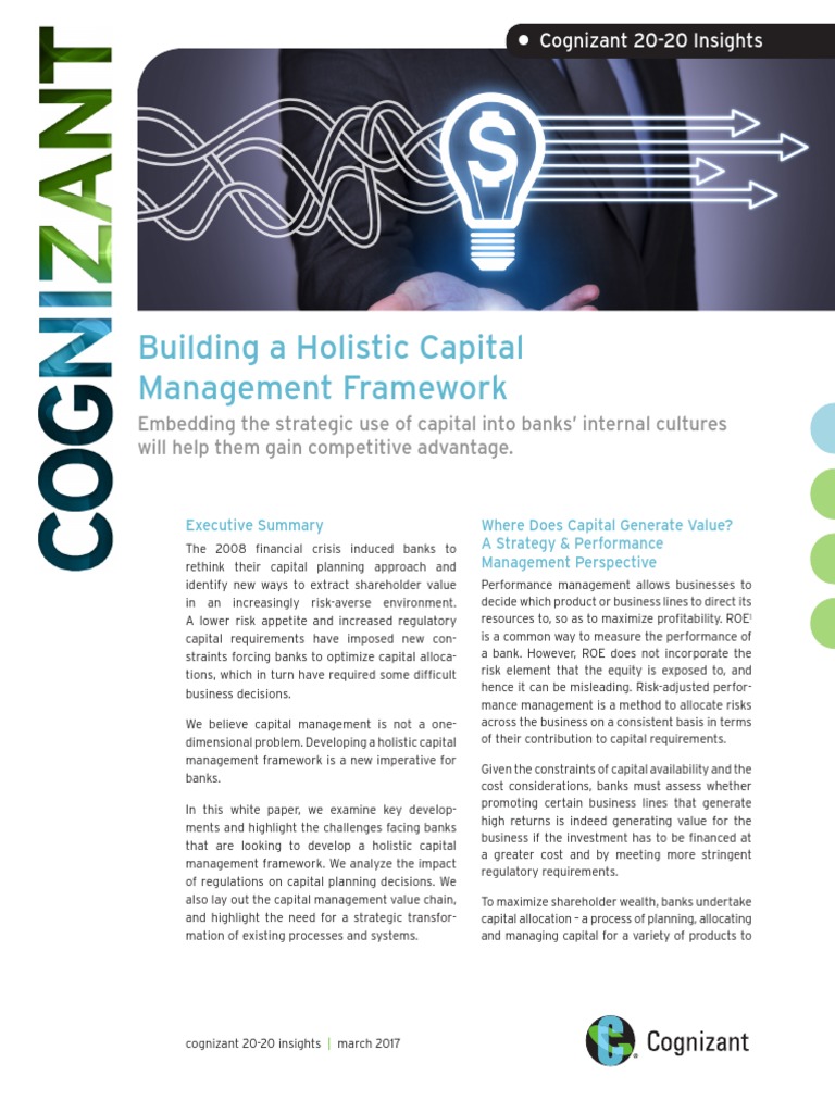 Building A Holistic Capital Management Framework | PDF | Capital ...