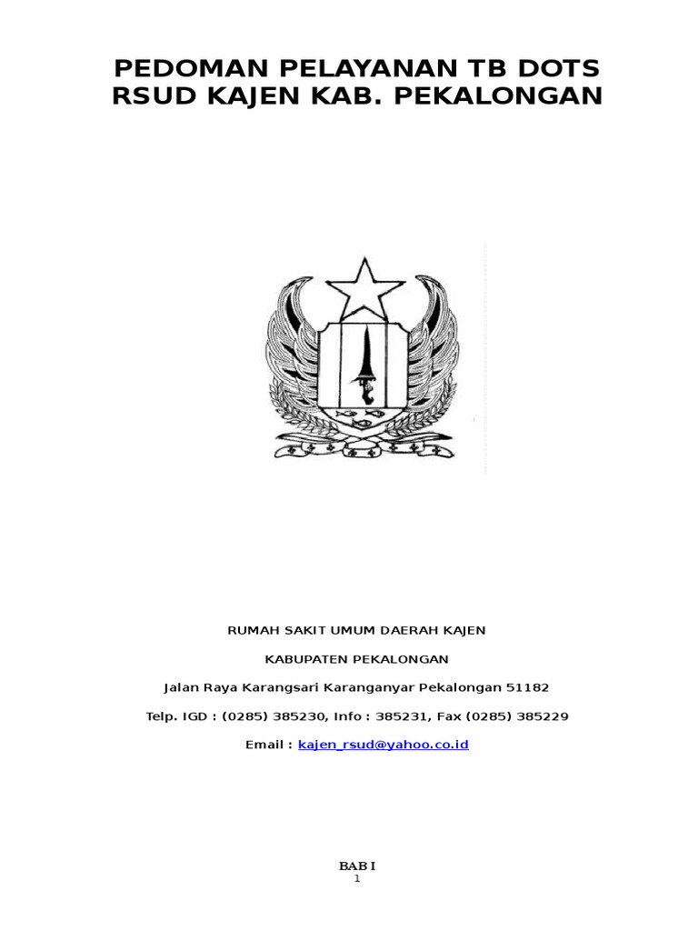 Pedoman Pelayanan TB Dots | PDF