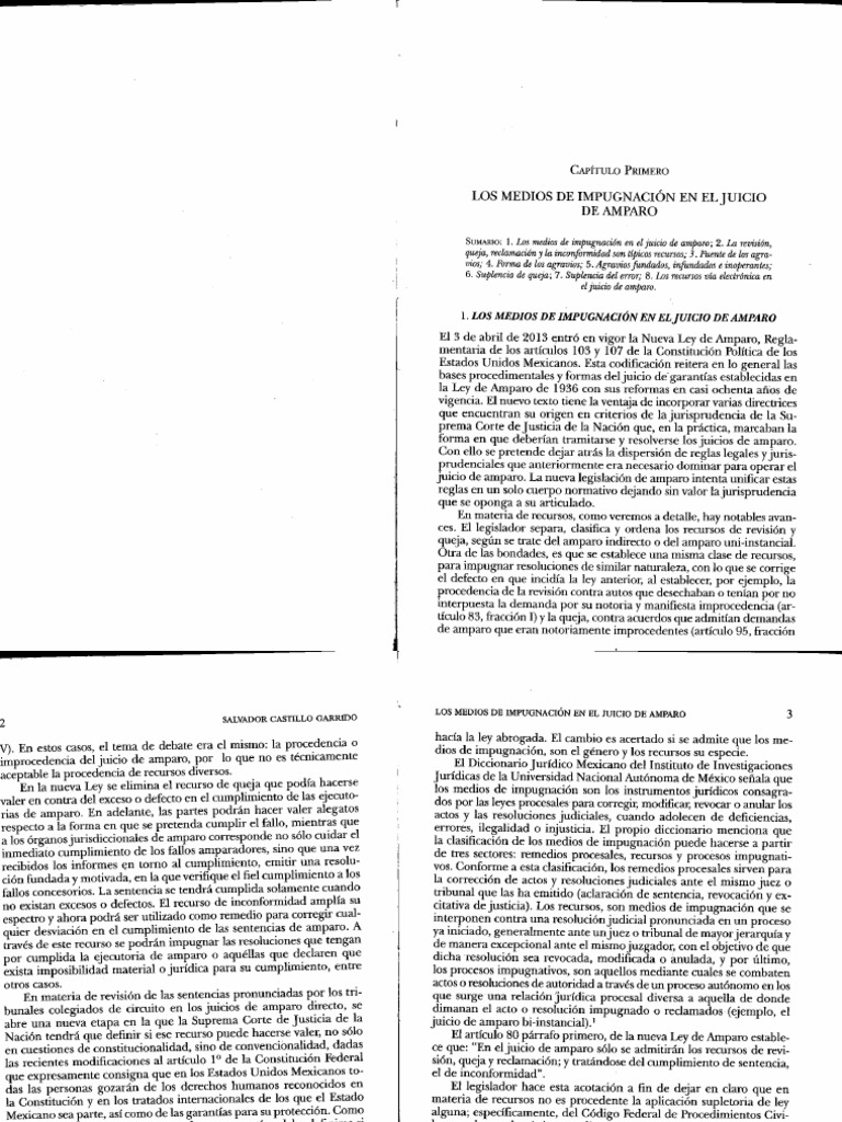 Los Medios de Impugnación en El Juicio de Amparo - Castillo | PDF