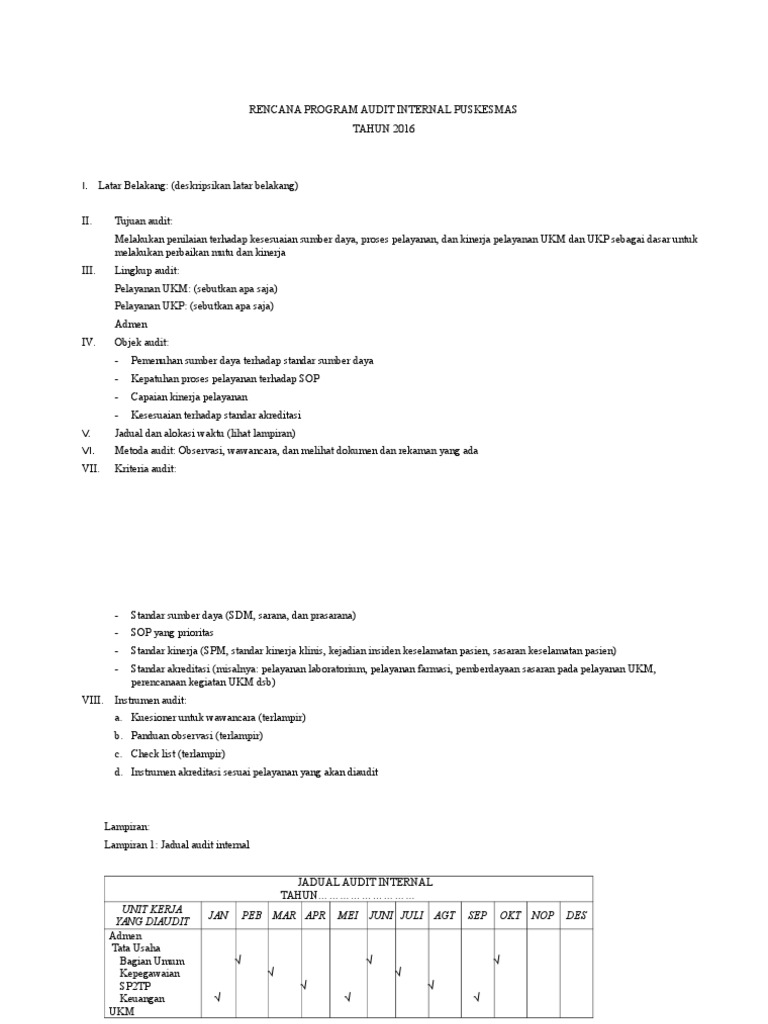 Rencana Audit Internal Puskesmas 2024 | PDF