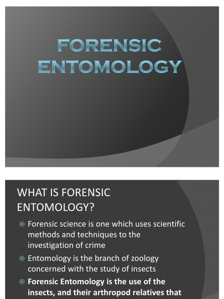 Forensic Entomology Overview | PDF | Fly | Insects And Humans