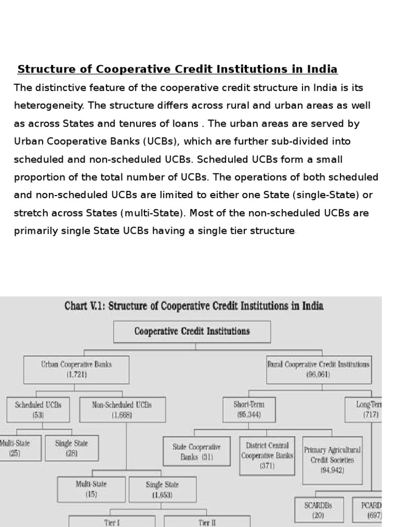 Cooperative Credit Institutions in India | PDF | Cooperative | Banks