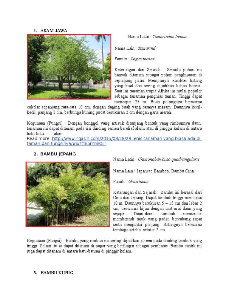 Daftar Nama Tumbuhan & Fungsinya | PDF