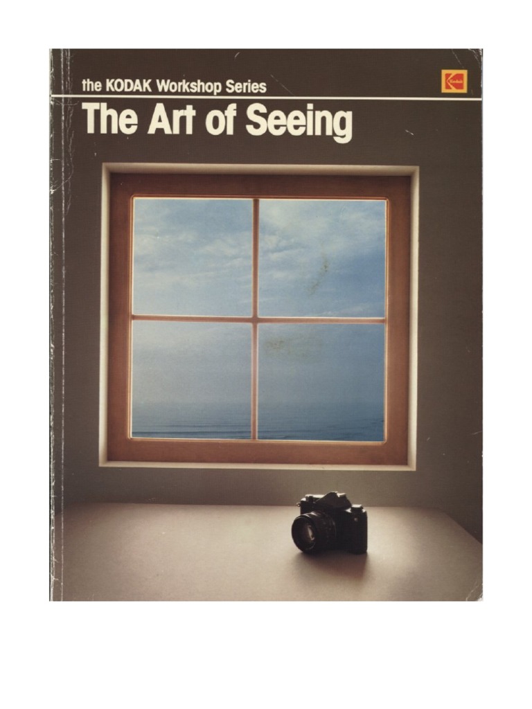 The Art of Seeing | PDF
