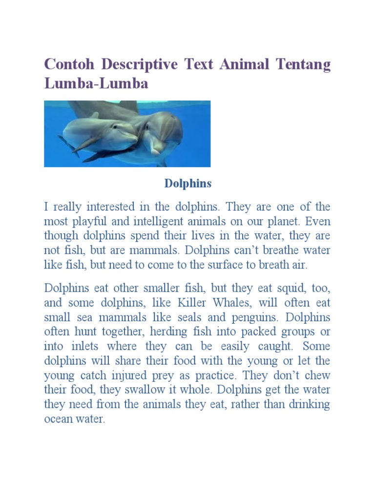 Contoh Descriptive Text Animal Tentang Lumba-Lumba: Dolphins | PDF