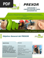 Protocolo Prexor Informe | PDF | ruido