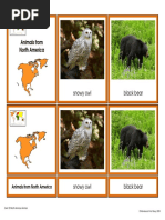 Paper Eye Model 1 | PDF | Human Eye | Cornea