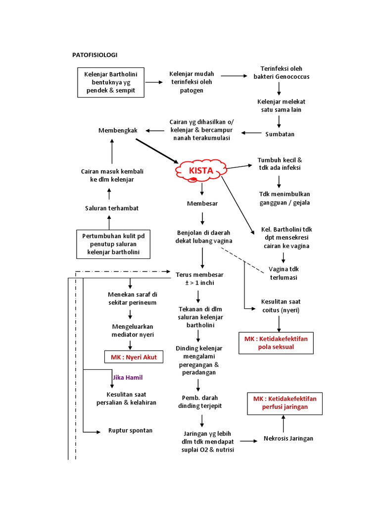 Patfis Kista Bartholini | PDF