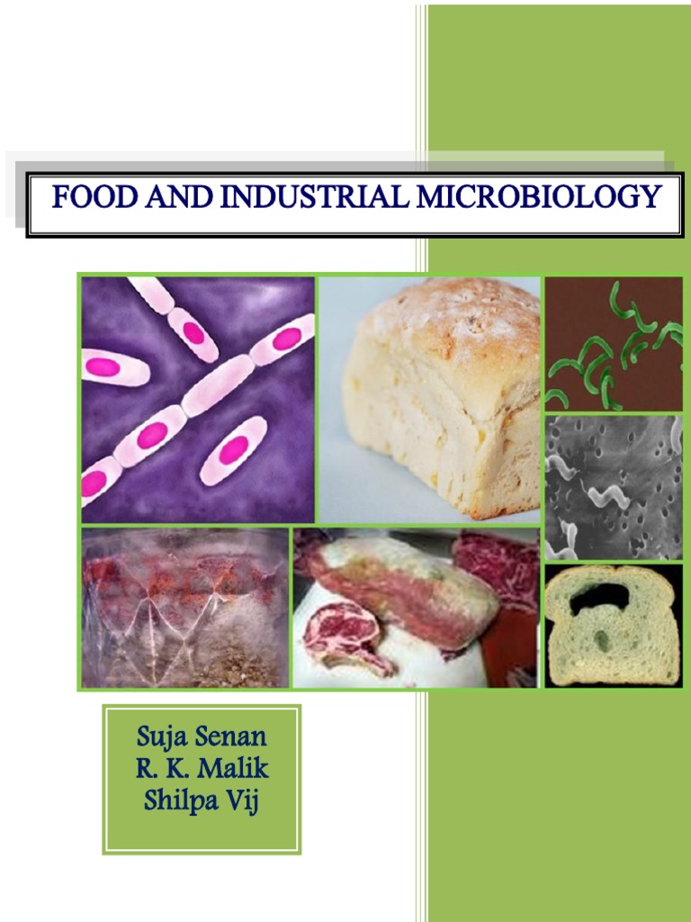Food and Industrial Microbiology | PDF | Bacillus | Lactobacillus
