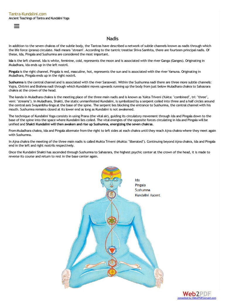 Nadis | PDF | Kundalini | Ancient Indian Philosophy
