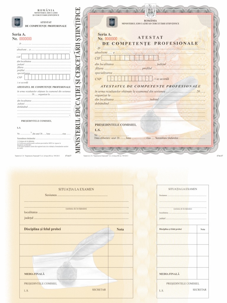 Atestat de Competente Profesionale | PDF