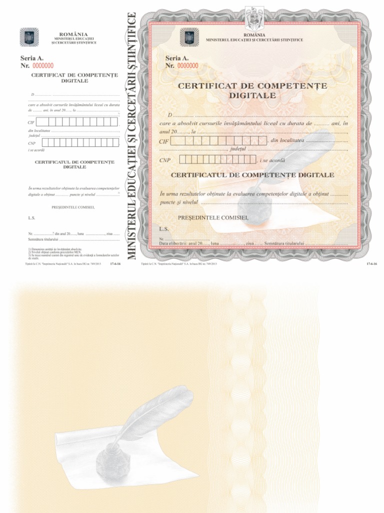 Certificat de Competente Digitale | PDF