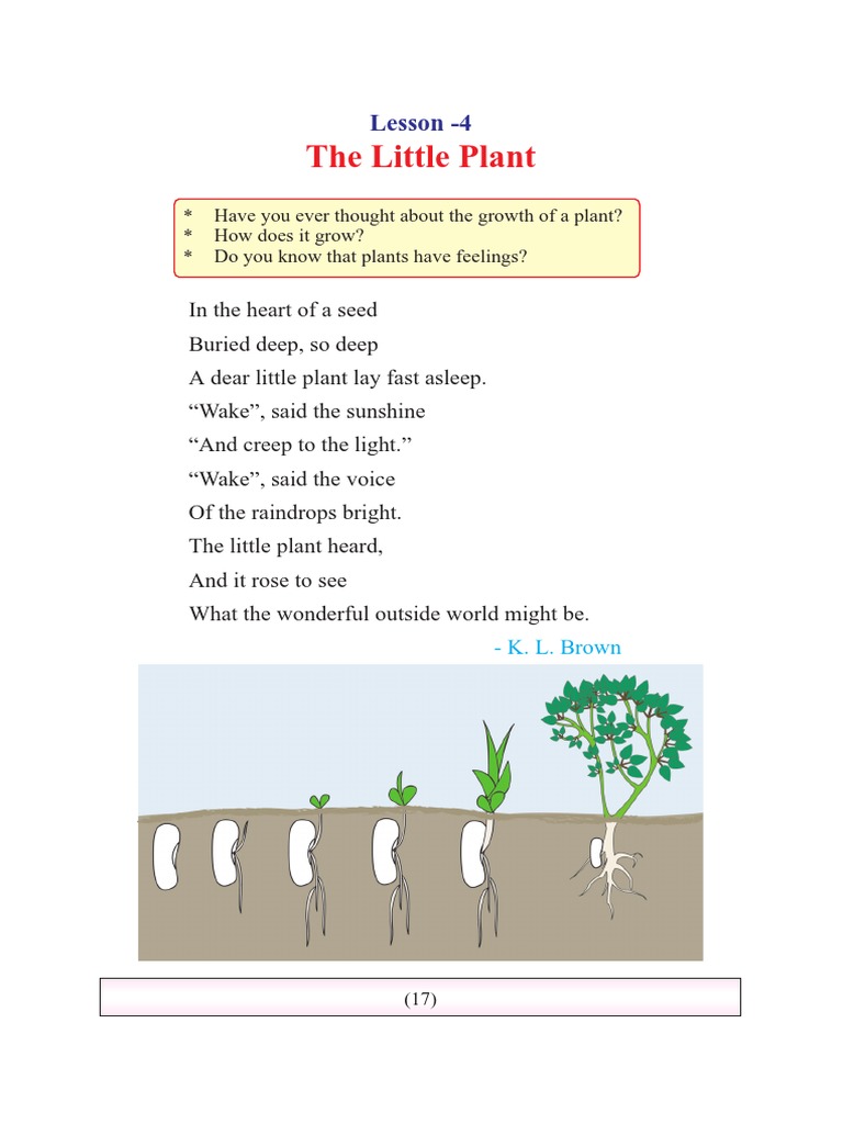 The Little Plant: Lesson - 4 | PDF | Trees | Vegetables