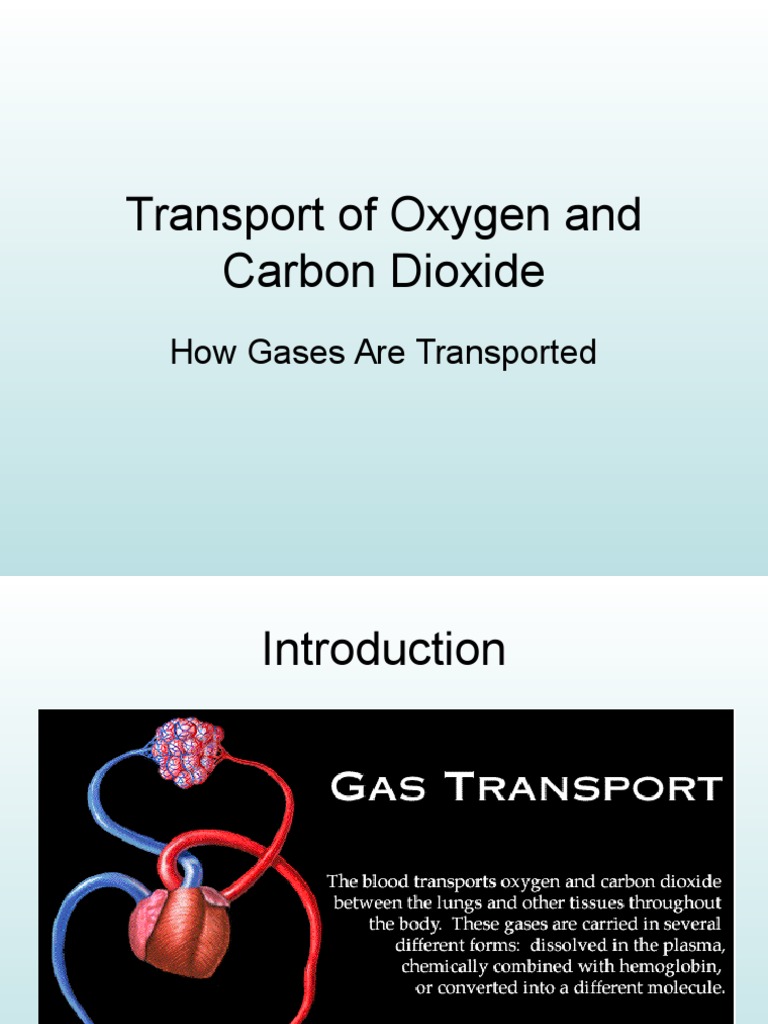 Transport of Oxygen and Carbon Dioxide | Download Free PDF | Hemoglobin ...
