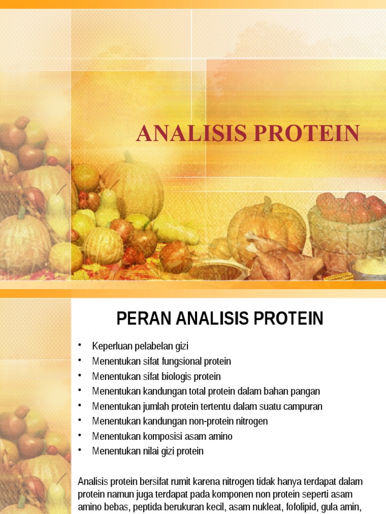 Analisis Protein | PDF