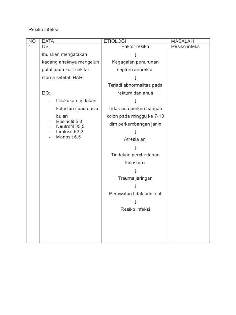 Analisa Data Resiko Infeksi | PDF