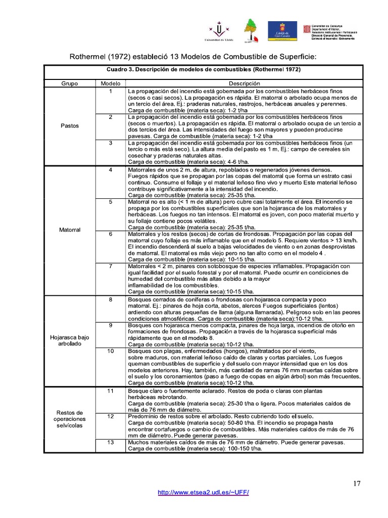 Resumen Modelos Rothermel | PDF