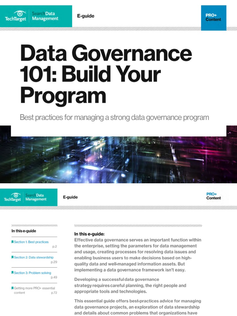 Data Governance 101, Build Your Program | PDF