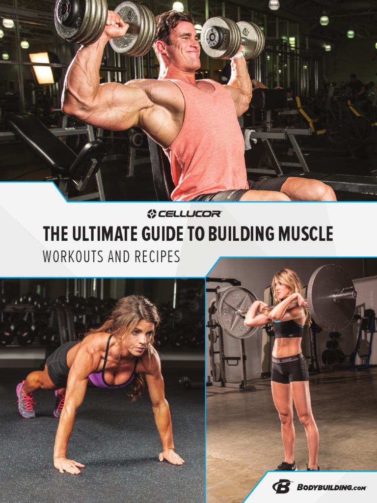 Elite Muscle-Building Workout Guide | PDF