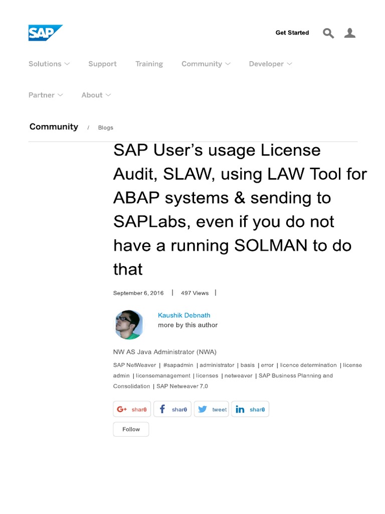 SAP User's Usage License Audit, SLAW | PDF