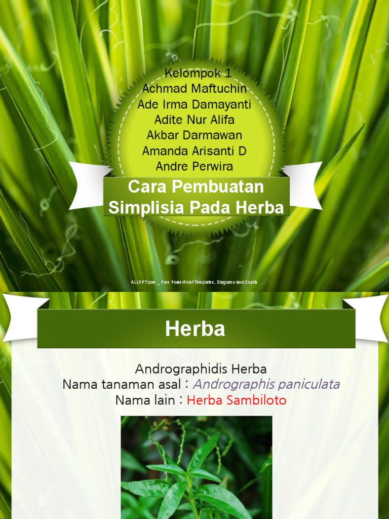 Herba | PDF
