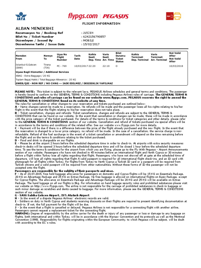 Travel Document | PDF