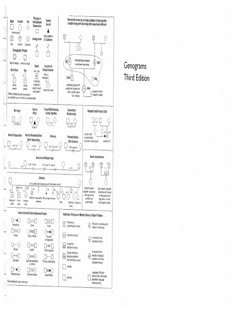 Genograms Third Edition Monica McGoldrick