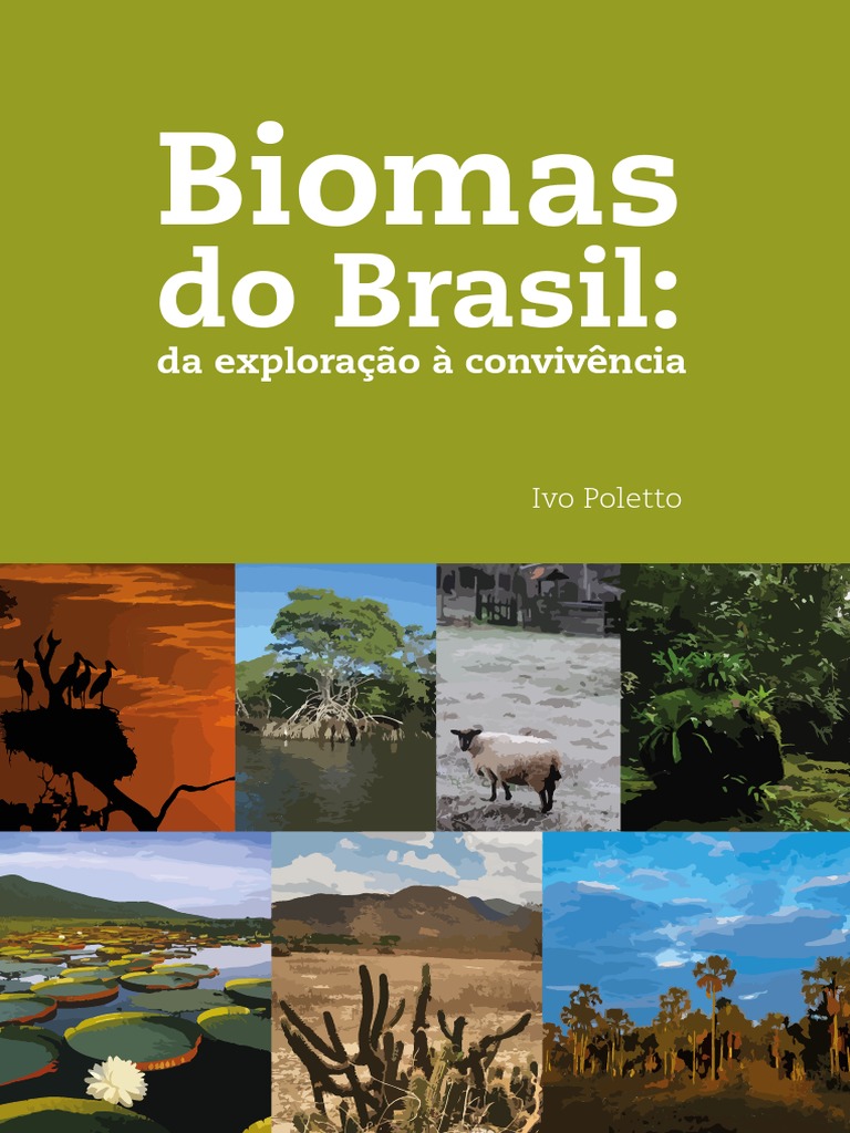 livro_BIOMAS_DO_BRASIL_2017_final.pdf | Brasil | Floresta Amazônica