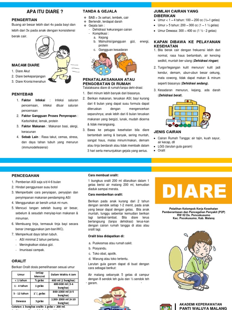 Leaflet DIARE | PDF