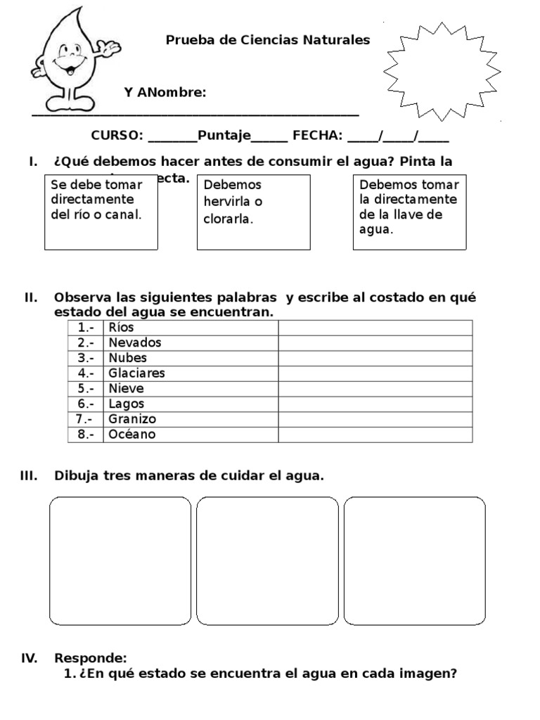 Prueba Del Ciclo Del Agua | PDF