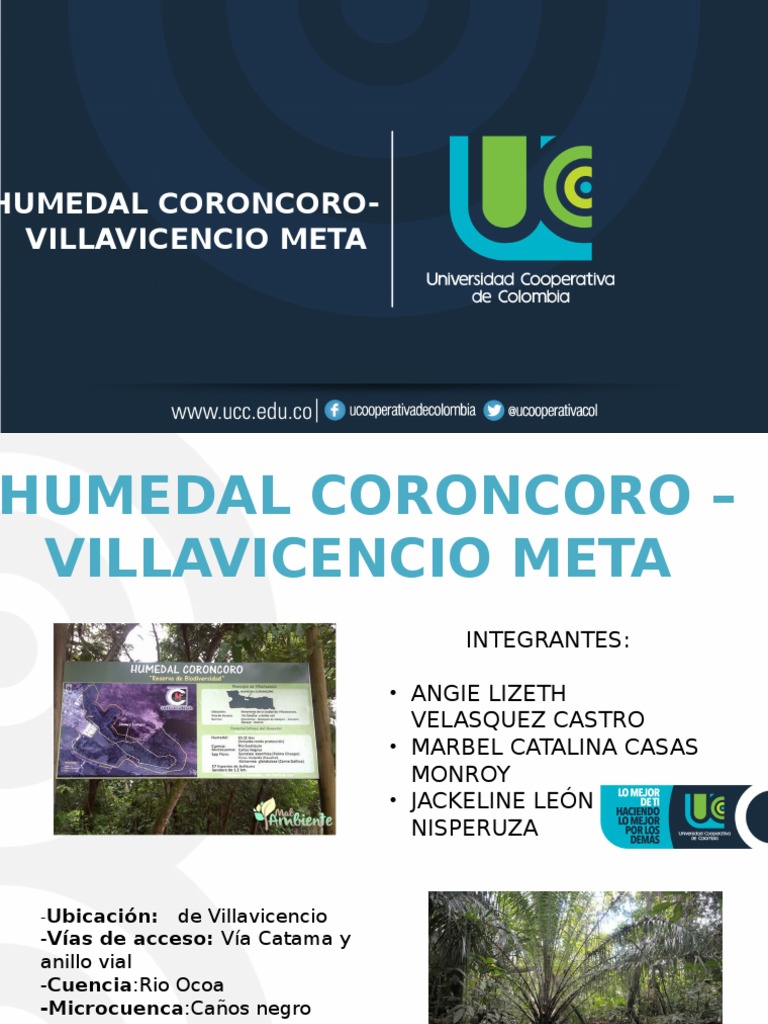 Humedal Coroncoro | PDF