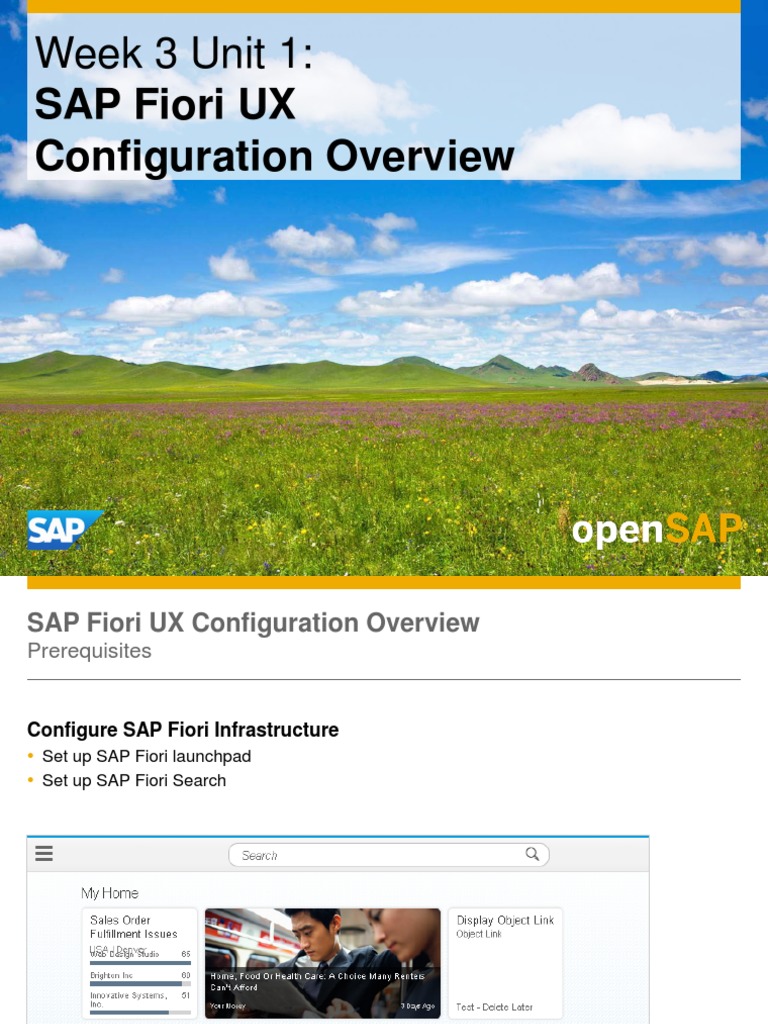 SAP Fiori UX Configuration Overview: Week 3 Unit 1 | PDF