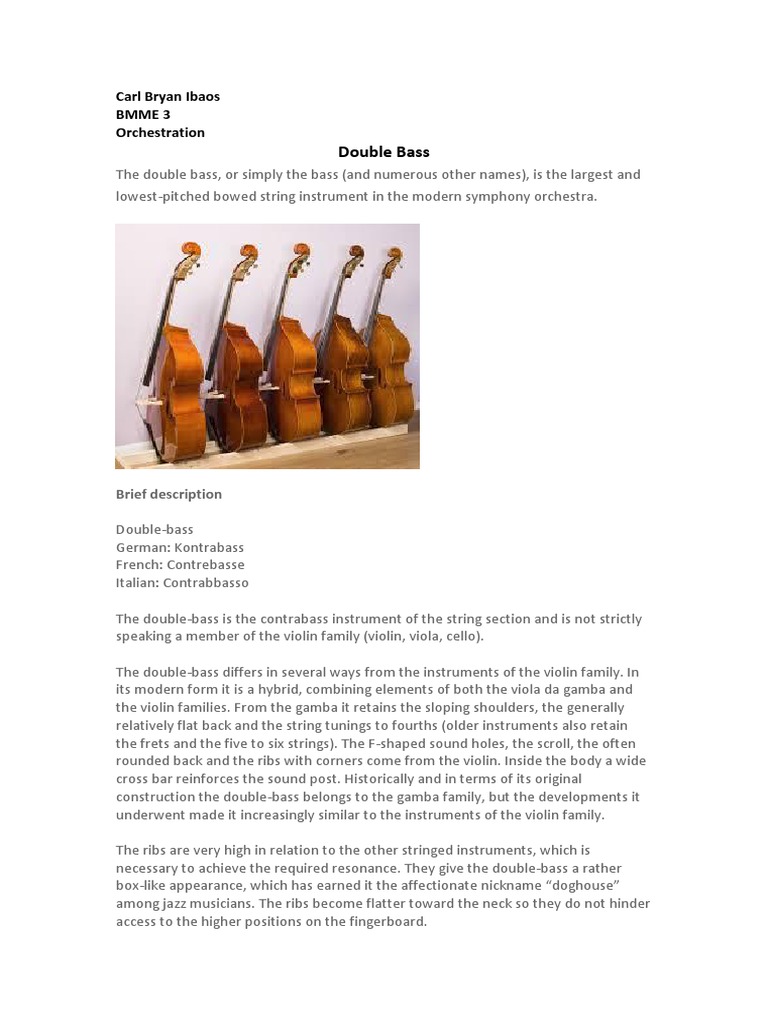 Double Bass | PDF | Double Bass | Violin