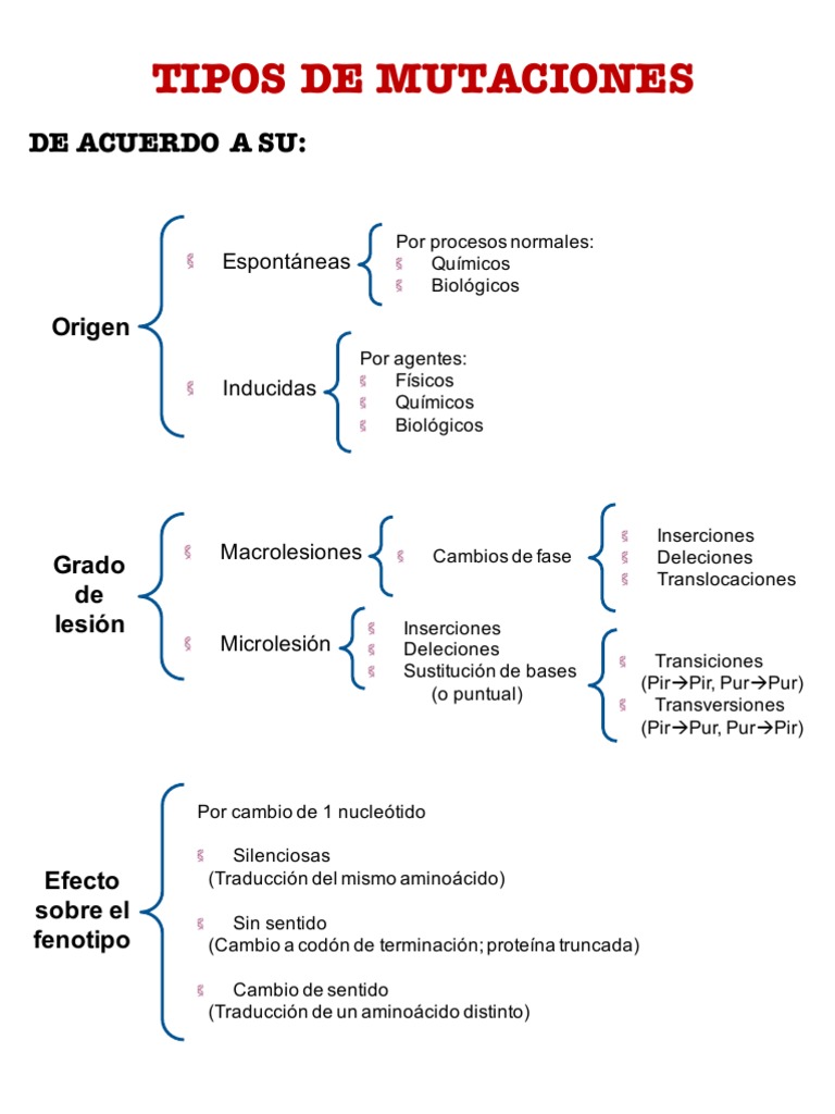 Tipos de mutaciones genéticas