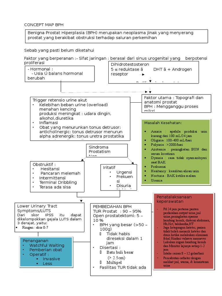 Understanding Benign Prostatic Hyperplasia | PDF