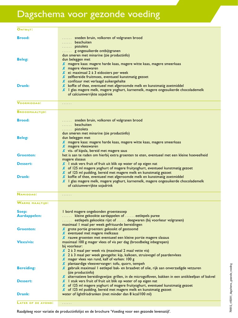 Dieet Dagschema Voor Gezonde Voeding | PDF