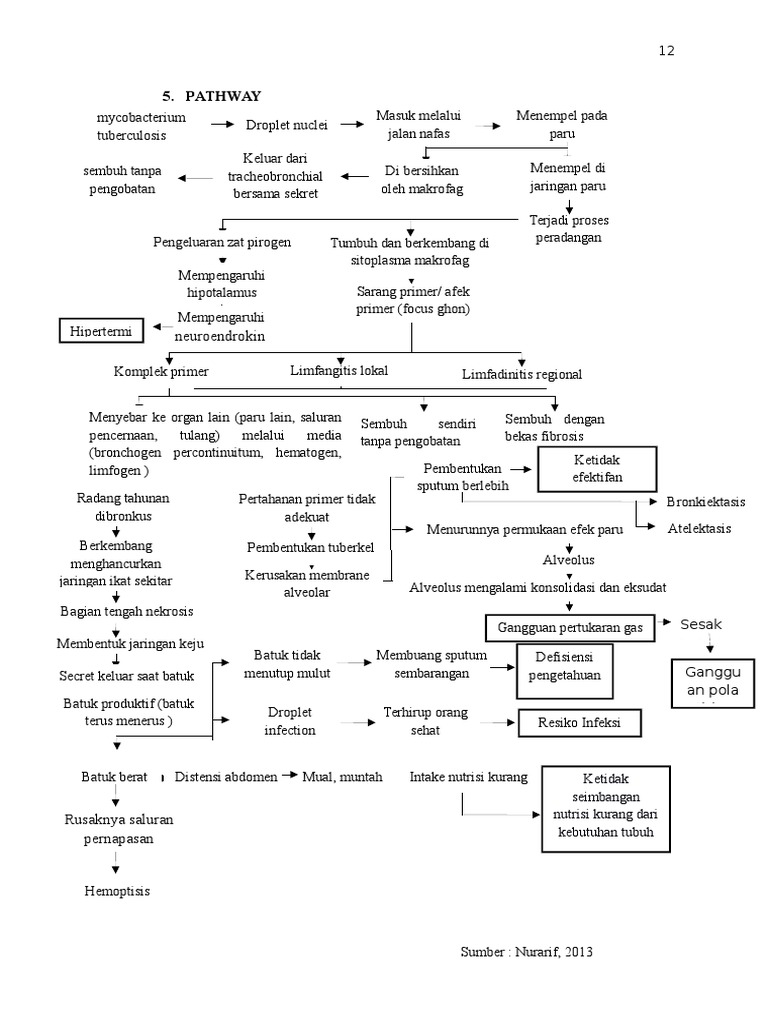 Pathway TB Paru Acc Sip | PDF