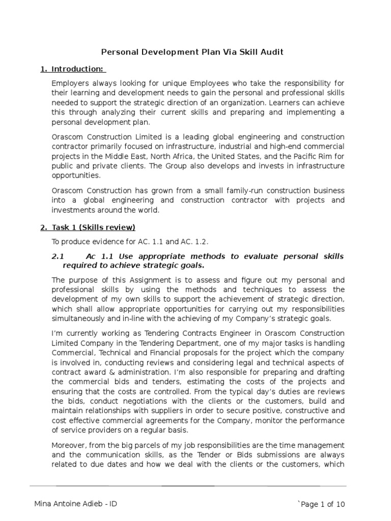 Personal Development Plan Via Skill Audit | PDF | Learning Styles ...