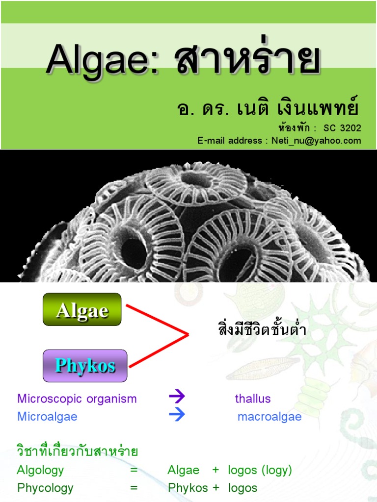 Algae | PDF