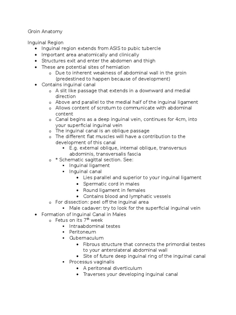 Groin Anatomy | PDF | Peritoneum | Abdomen