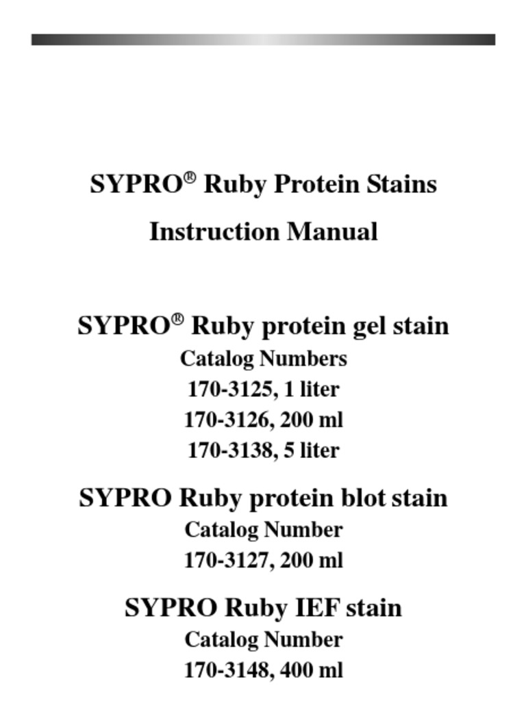 Sypro Ruby Staining Bio-Rad 4006173B-WMS | PDF | Gel Electrophoresis ...