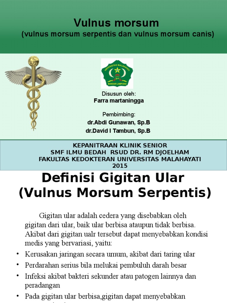 Vulnus Morsum | PDF | Pengembangan Diri | Kesehatan Holistik