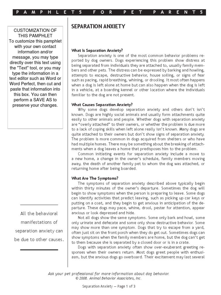 Separation Anxiety: Pamphlets For Pet Parents | Download Free PDF ...