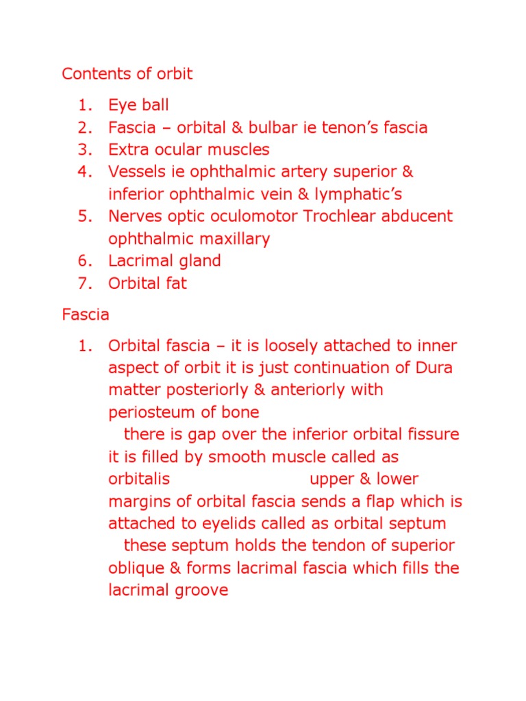 Anatomy of the Eye Orbit and Muscles | PDF | Soft Tissue ...