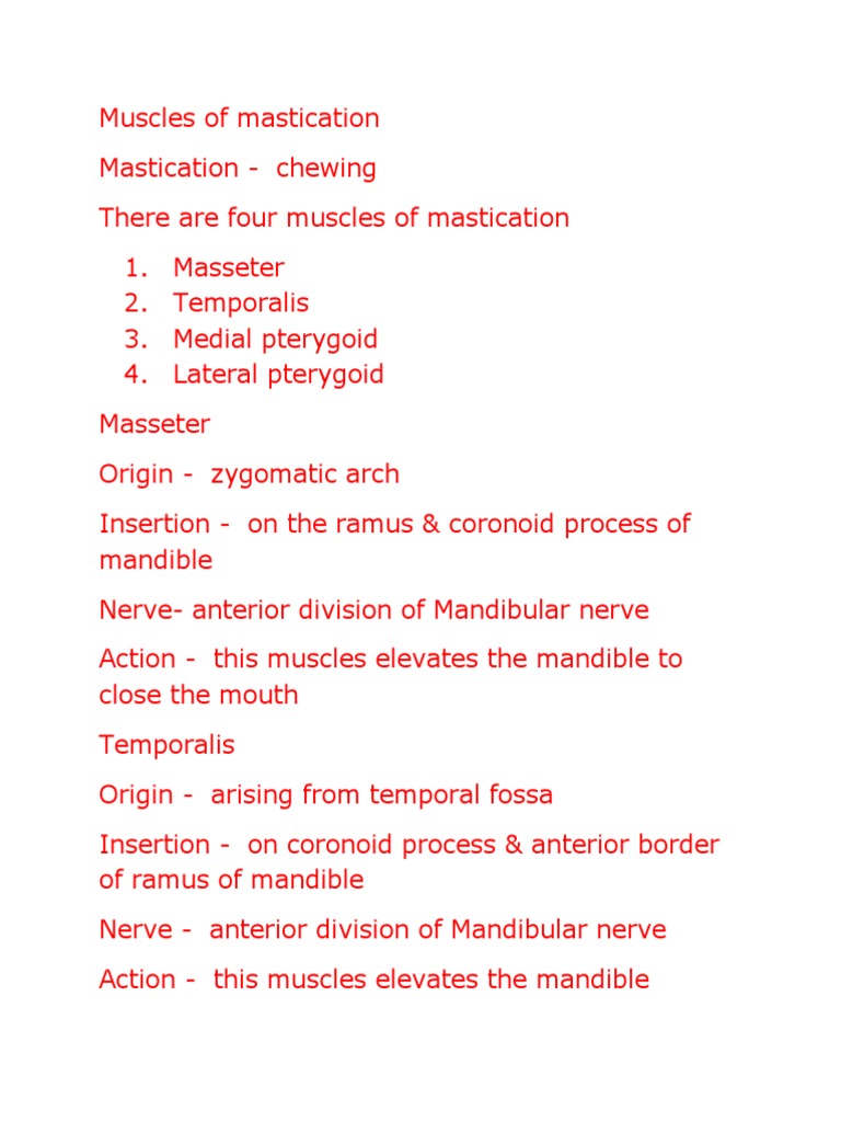 Muscles of Mastication | PDF
