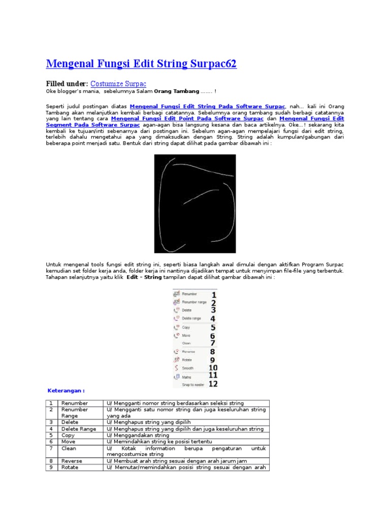 Fungsi Edit String di Surpac 62 | PDF