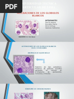 Alteraciones Morfológicas de Los Eritrocitos | PDF | Medicina CLINICA ...