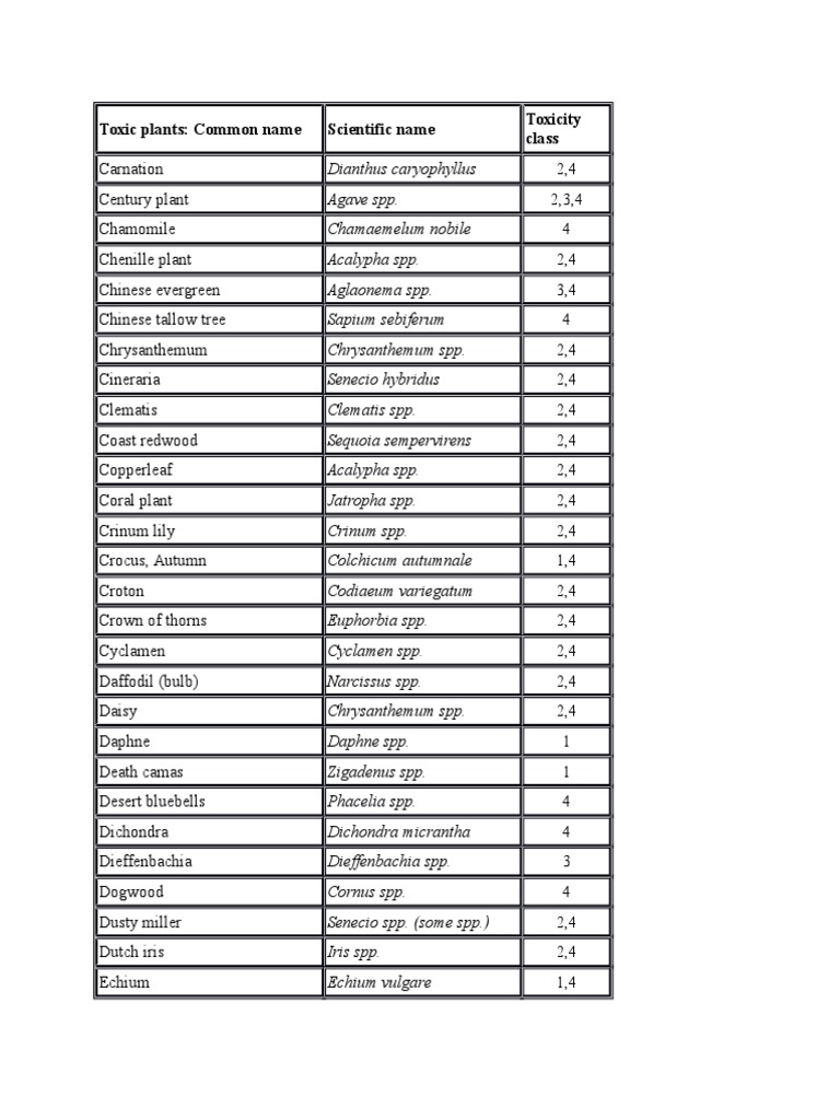 Toxic Plants: Common Names & Risks | PDF
