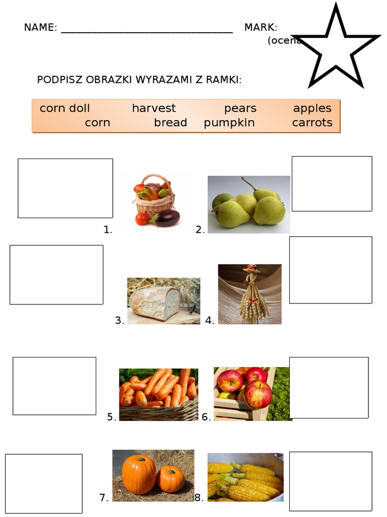 Harvest Vocabulary, Children | PDF